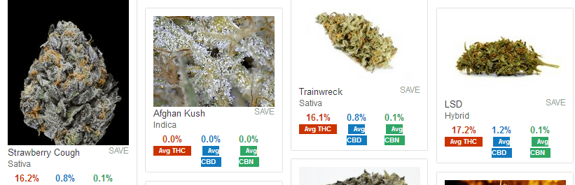 Marijuana Types and Their Growing Family